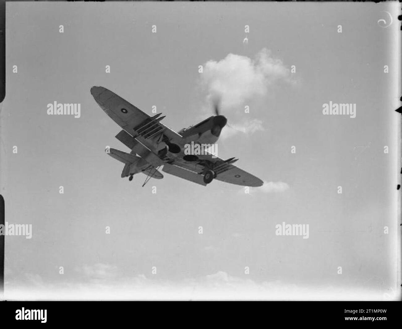 The Royal Navy during the Second World War A Fairey Firefly of 1770 ...