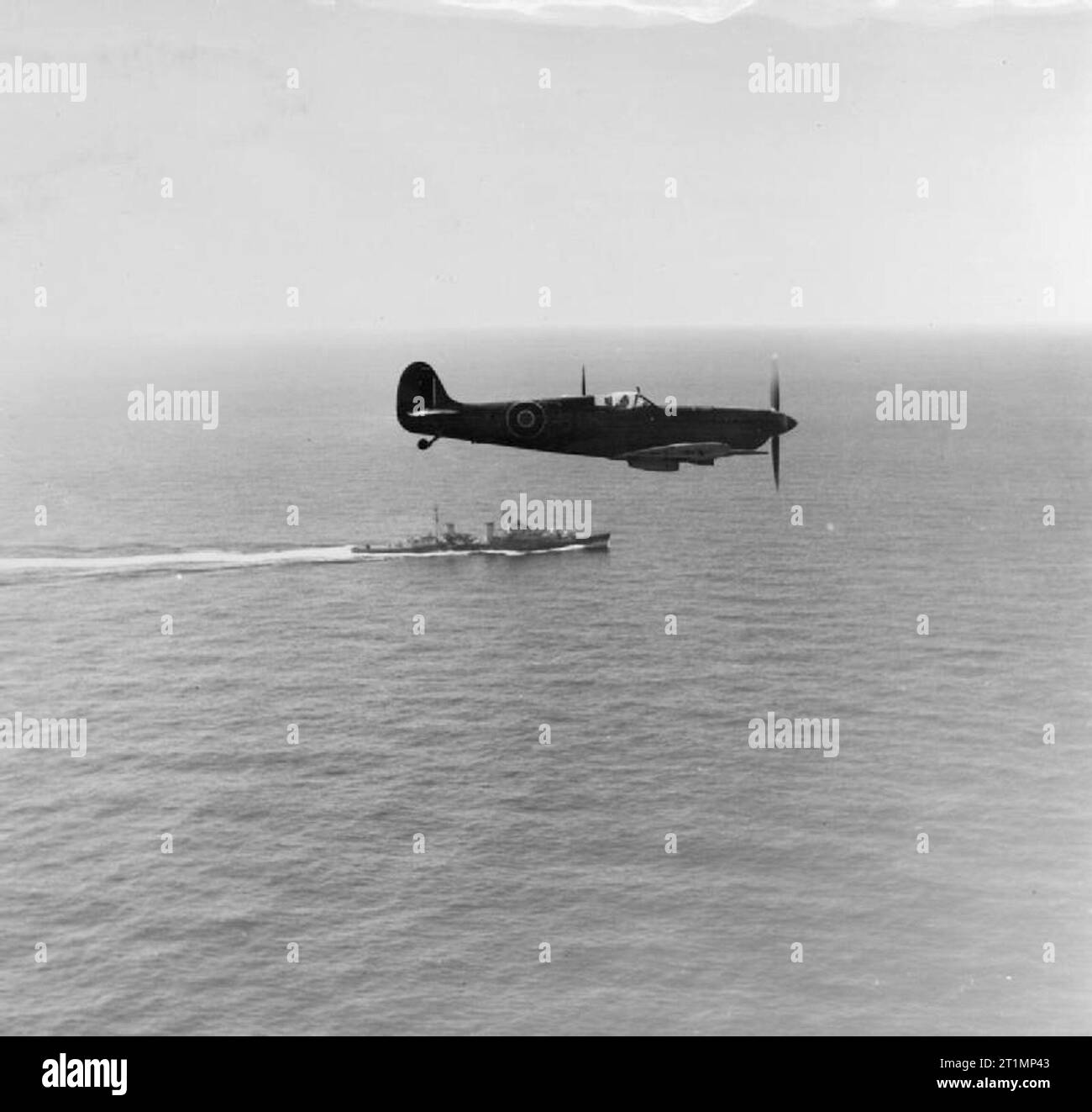 The Royal Navy during the Second World War A Supermarine Seafire of No ...