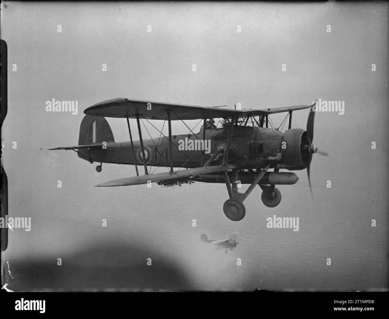 The Royal Navy during the Second World War No 785 Squadron, Fleet Air ...