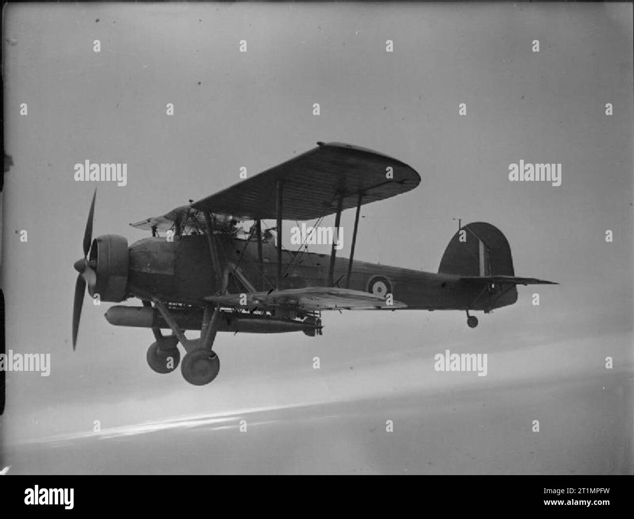 The Royal Navy during the Second World War No 785 Squadron, Fleet Air ...