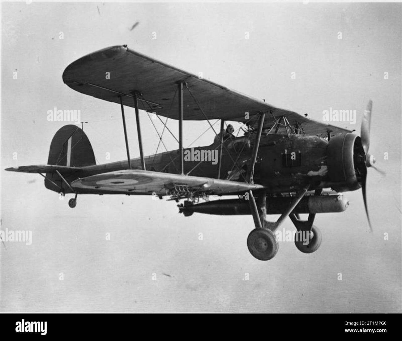 The Royal Navy during the Second World War No 785 Squadron, Fleet Air ...