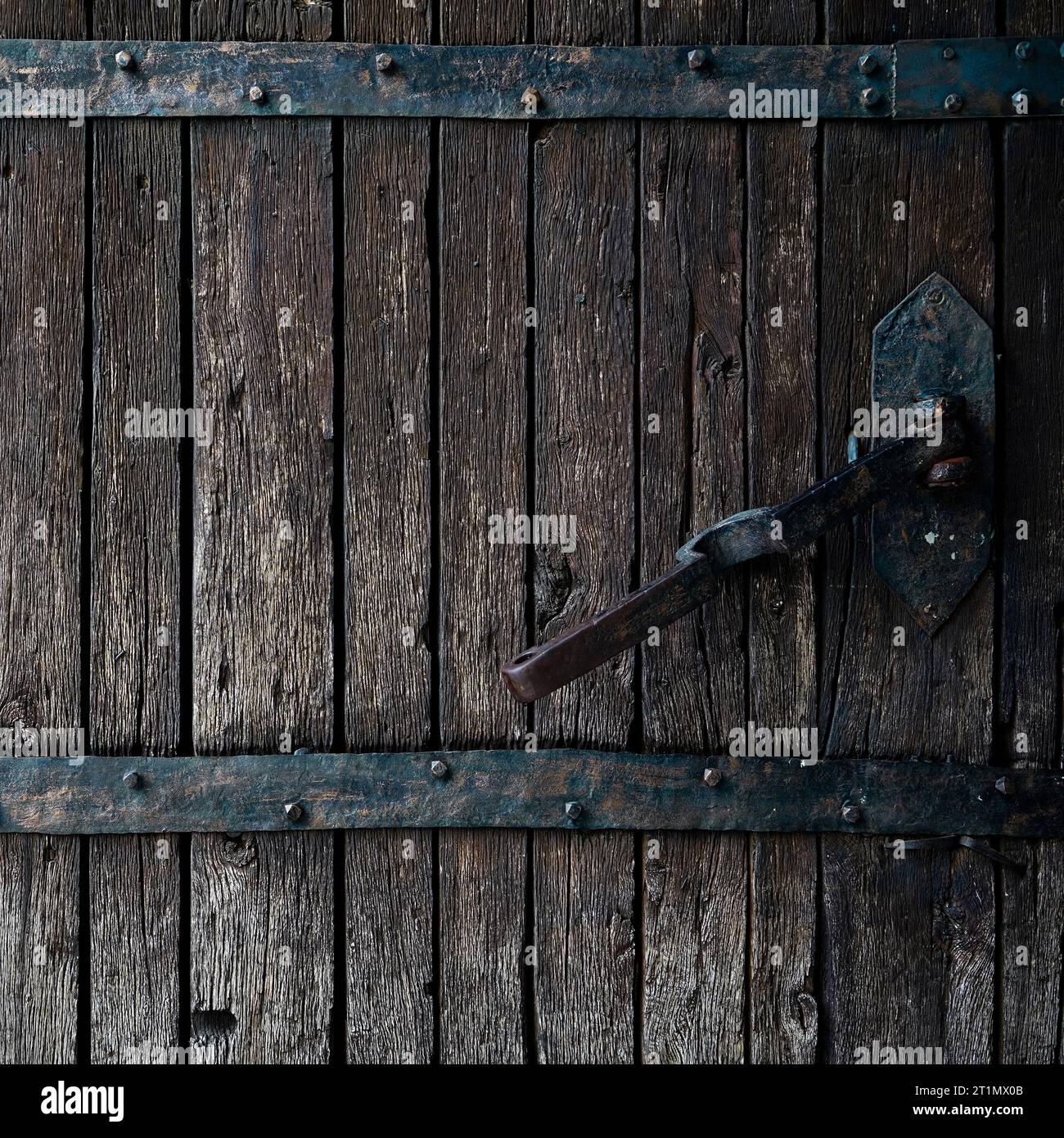 Old rotten wormy ancient oak door and metal parts, old wooden textured ...