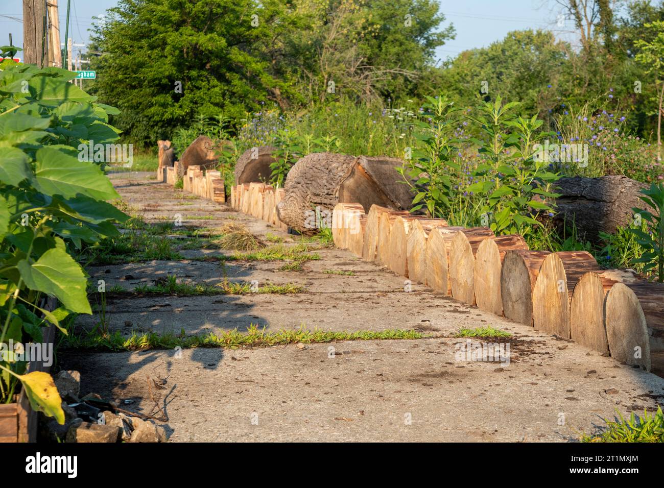 Detroit, Michigan - Plants and wood blocks decorate the sidewalk along ...