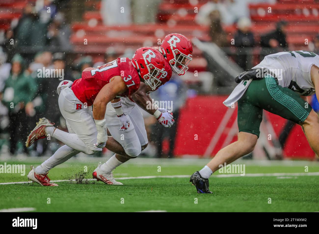 Lusardi hi-res stock photography and images - Alamy