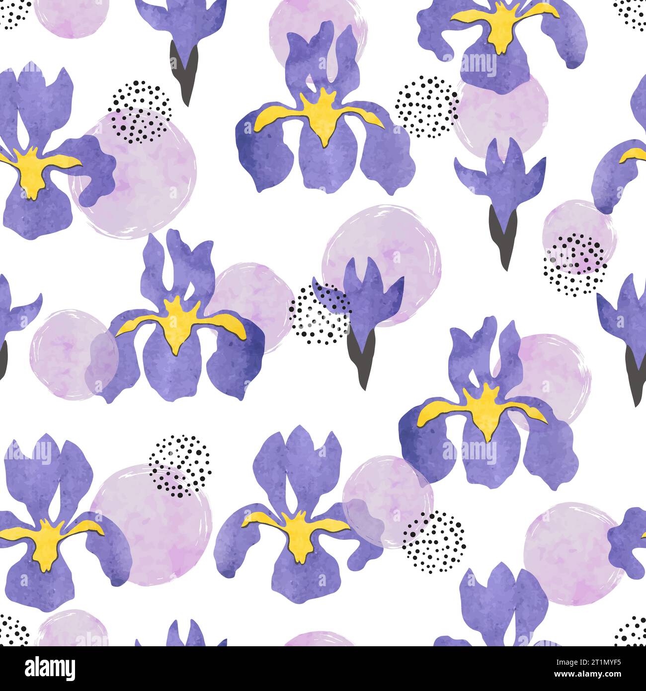 Spring purple flowers irises Stock Vector Images - Alamy