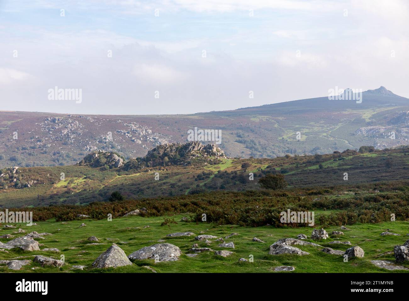 Hound Tor Dartmoor National Park in Devon, rock granite formation ...
