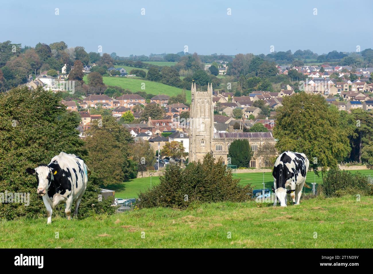 View of town showing St Mary's Church from Bruton Dovecote, Jubilee ...