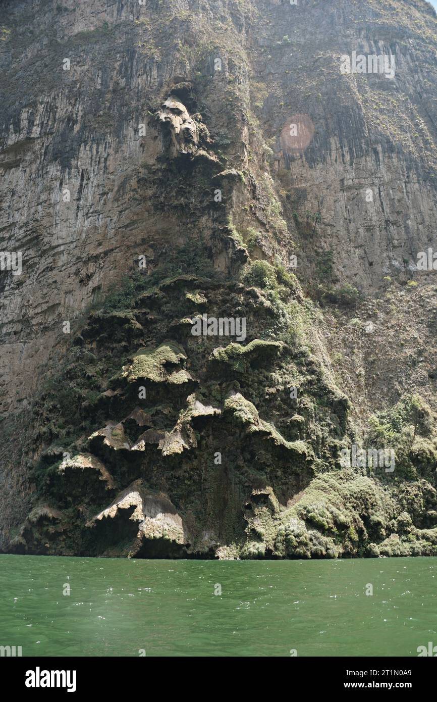 christmas tree, limestone, mountain, hill, vegetation, river, sumidero ...