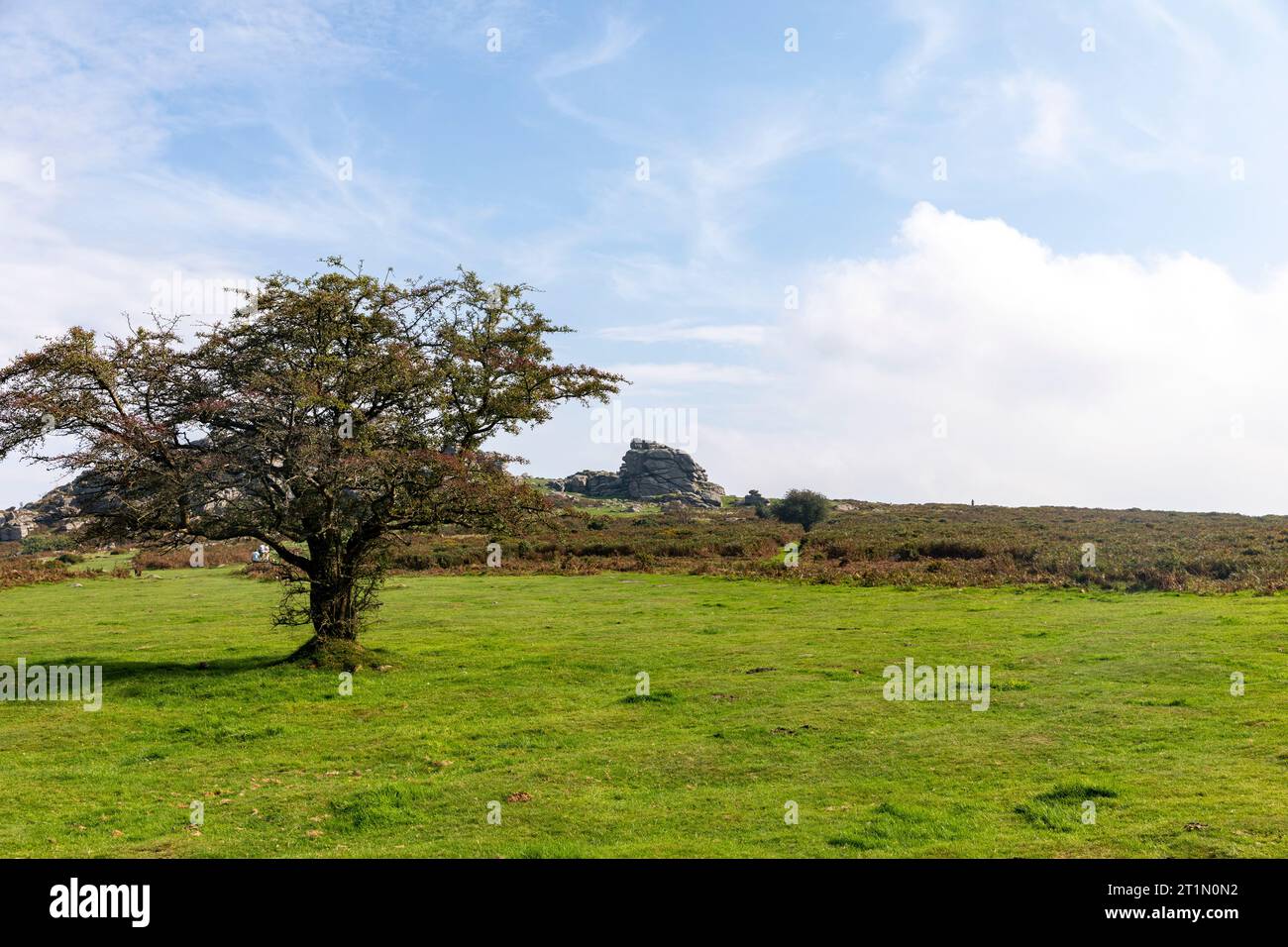 Hound Tor Dartmoor National Park in Devon, rock granite formation ...