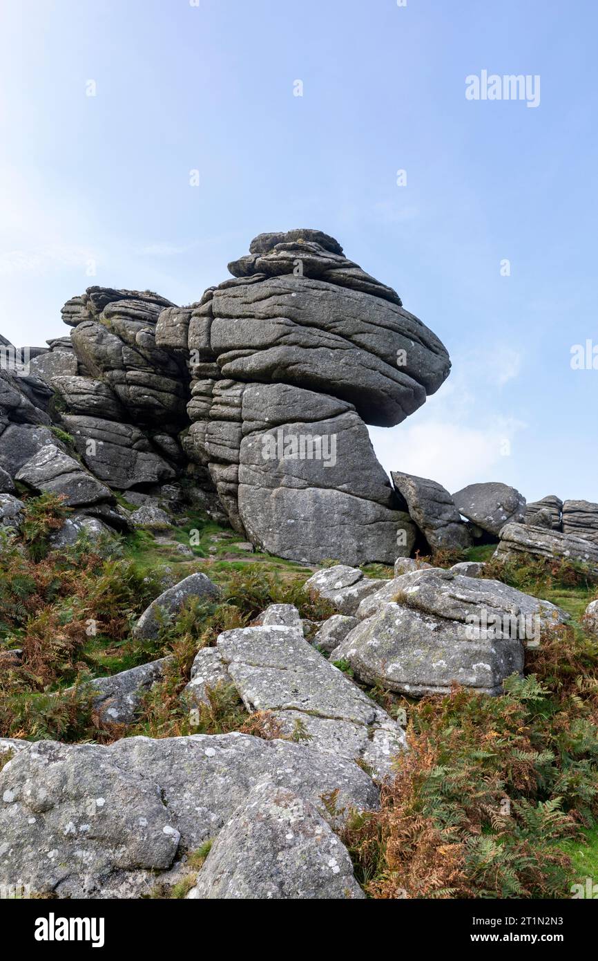 Hound Tor Dartmoor National Park in Devon, rock granite formation ...