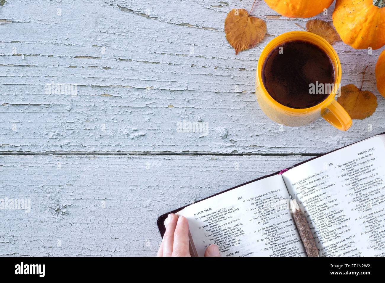 Hand holding bible hi-res stock photography and images - Alamy