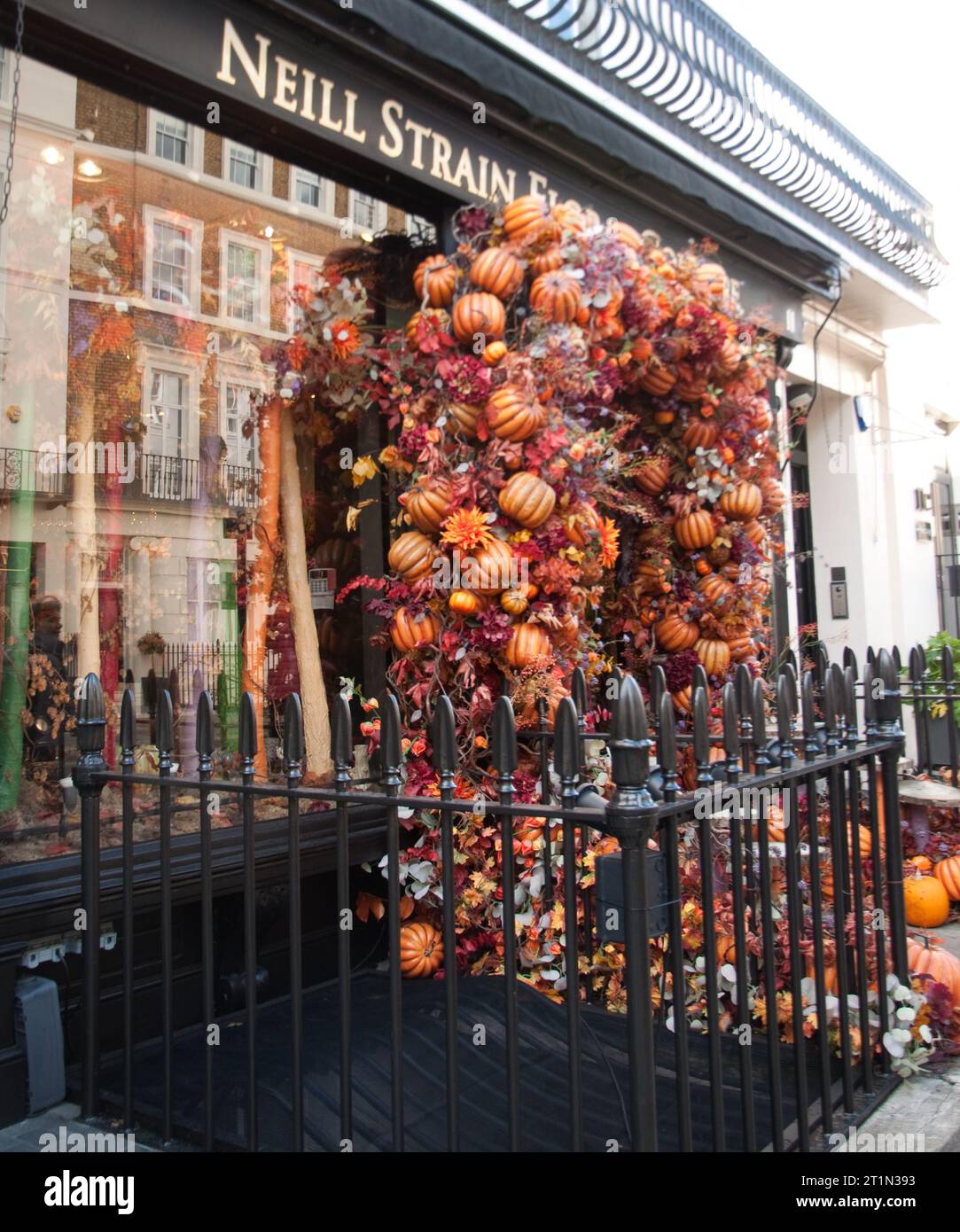 Neill strain floral hi-res stock photography and images - Alamy