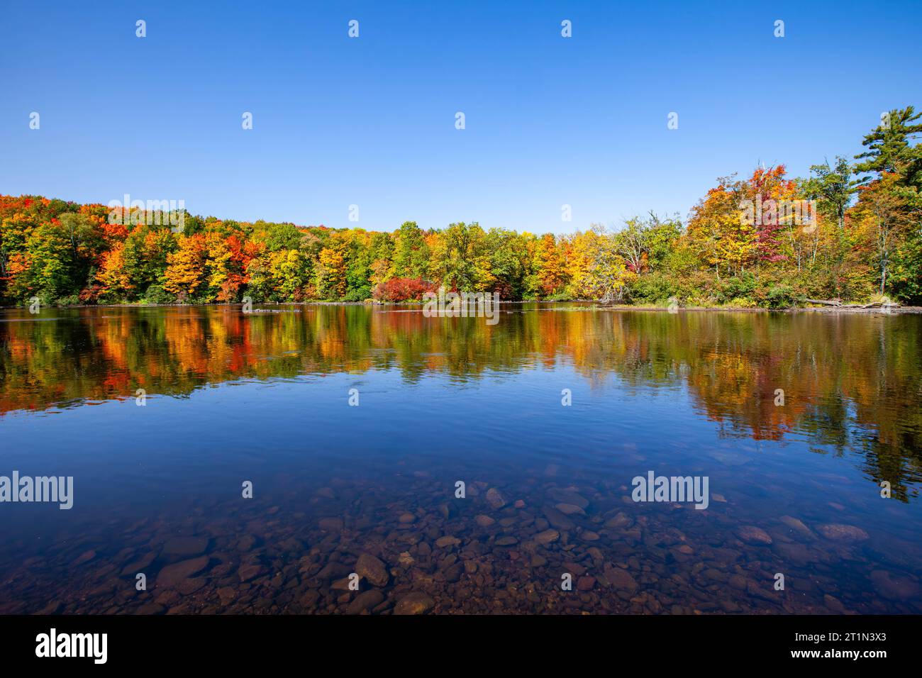 Reflection of a colorful forest in the Wisconsin River, horizontal ...