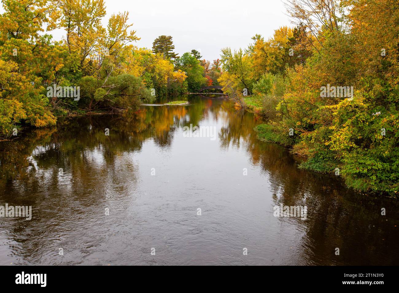 Stream going under a bridge through a colorful forest in Merril ...