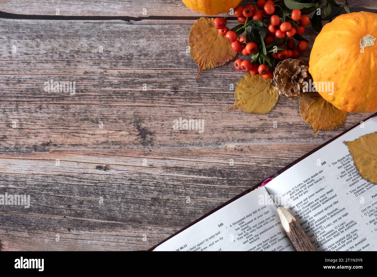 Autumn leaves, pumpkin, and open holy bible on wooden table. Top view ...