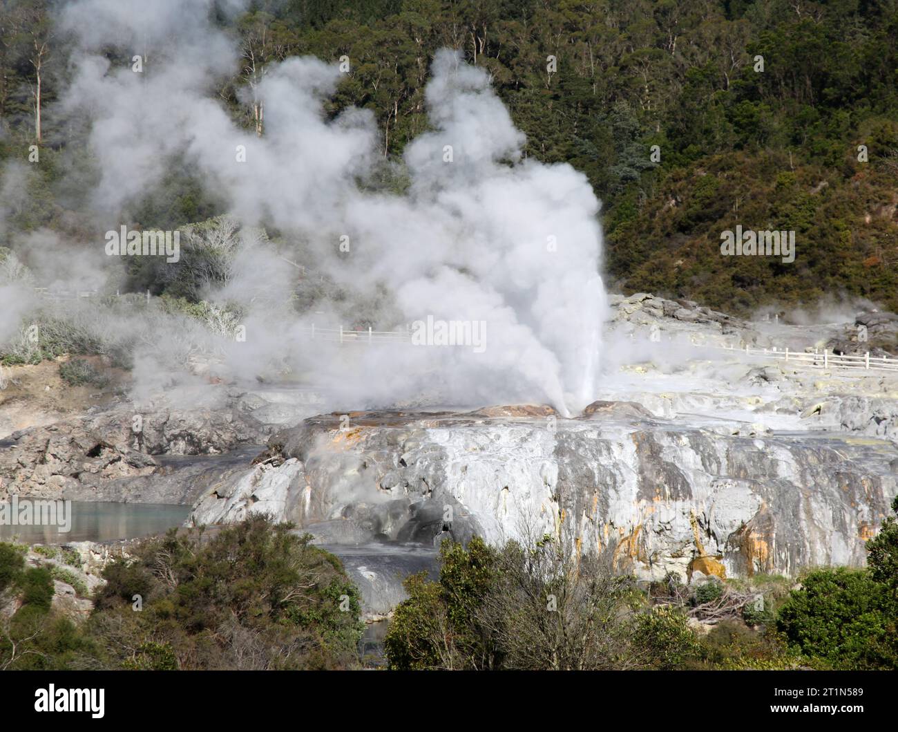 Pohutu and Prince of Wales geysers. Rotorua New Zealand Stock Photo - Alamy