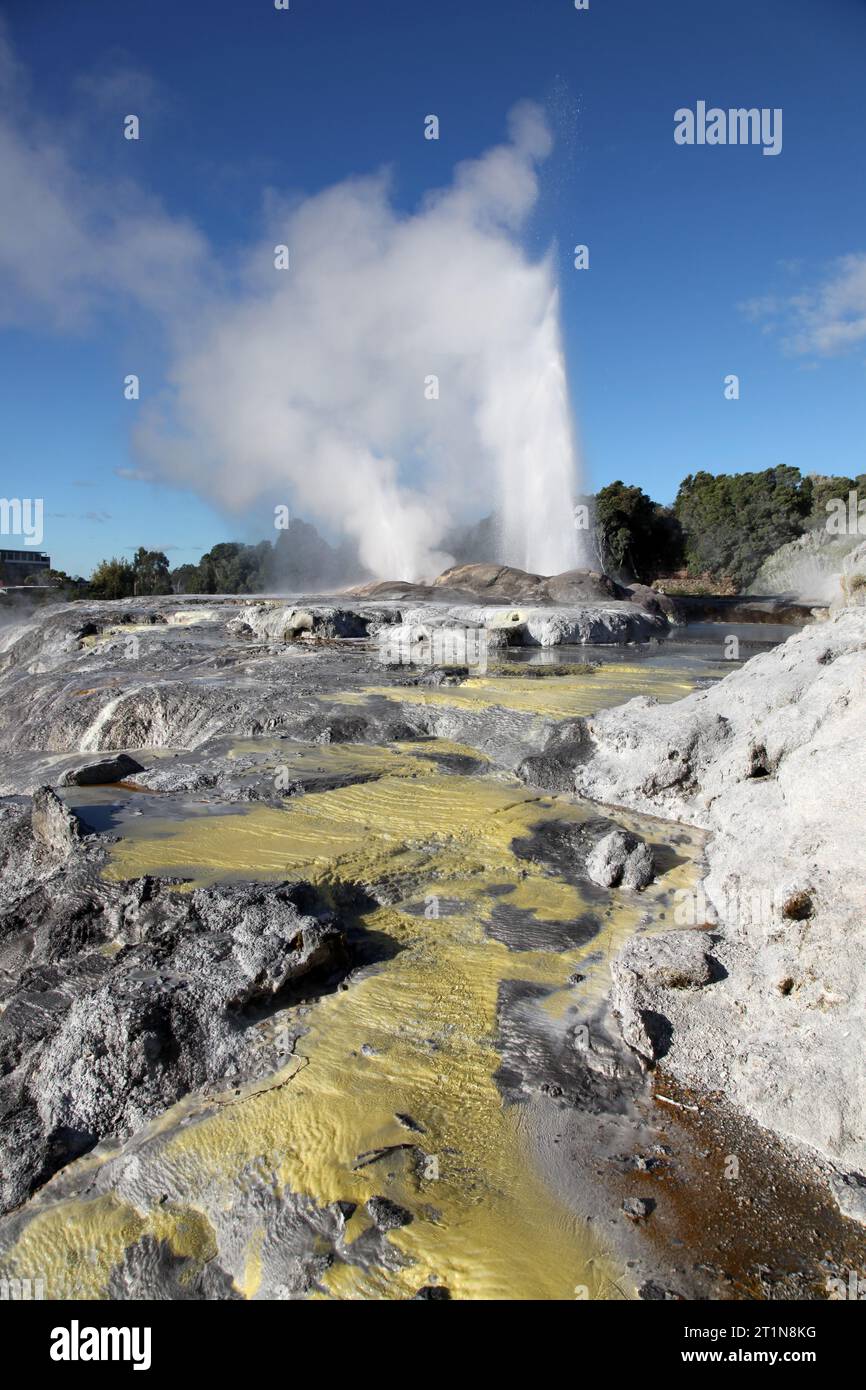 Pohutu and Prince of Wales geysers. Rotorua New Zealand Stock Photo - Alamy
