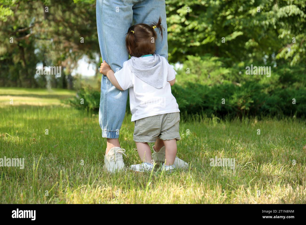 Daughter hugging her mother in park, back view Stock Photo - Alamy