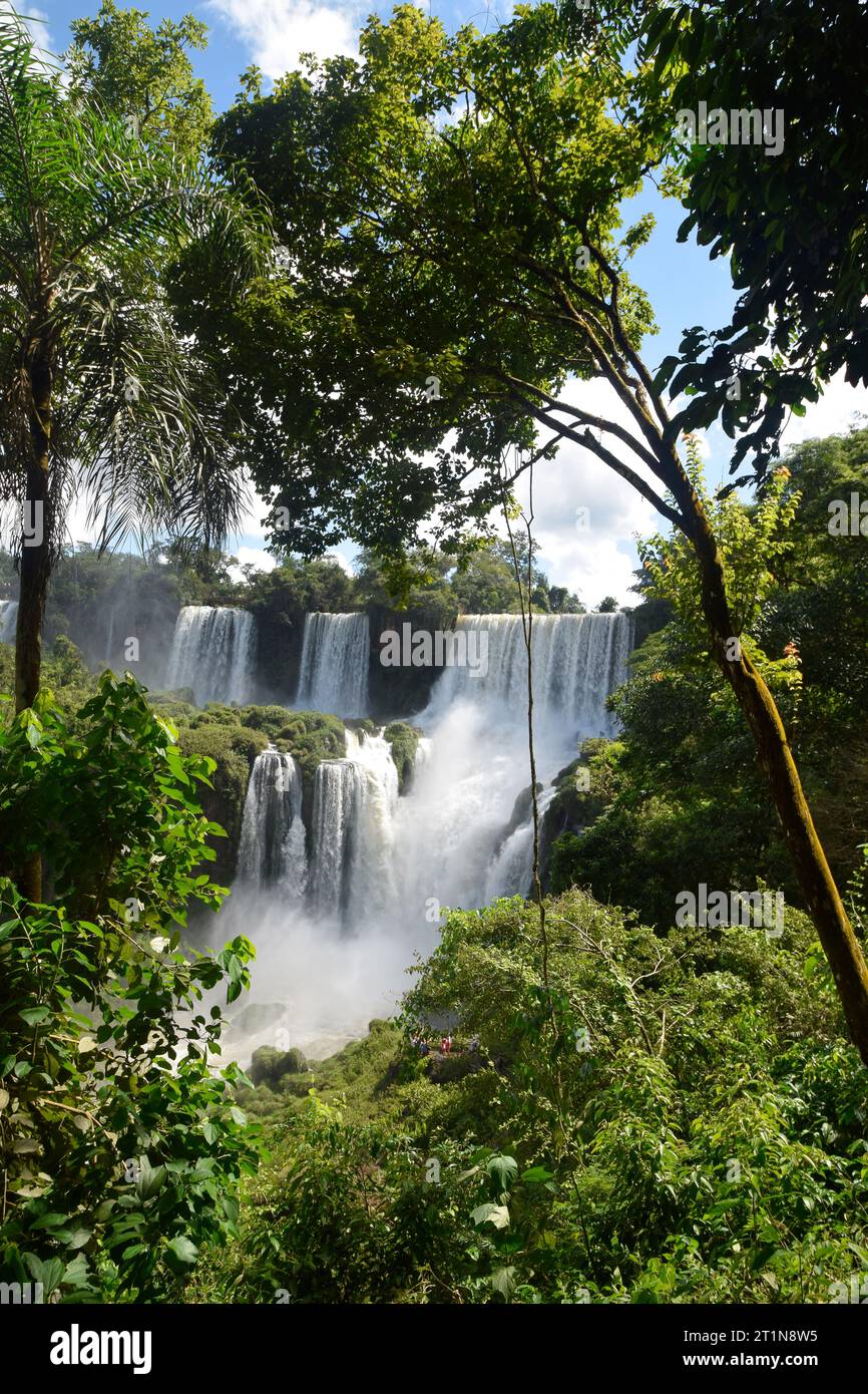 The Iguazu falls in Argentina/Brazil Stock Photo - Alamy