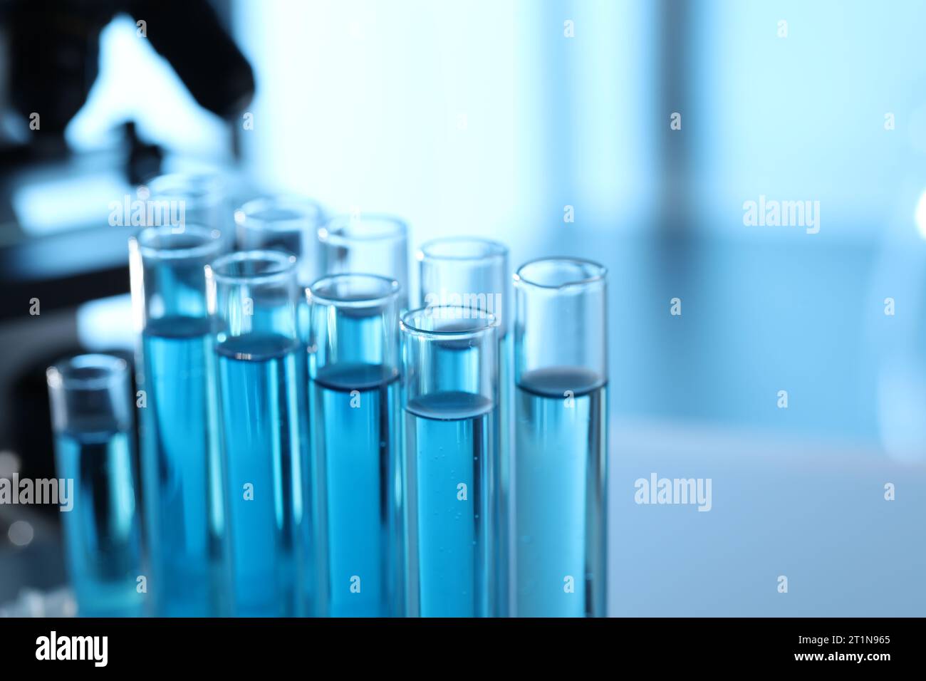 Test tubes with light blue liquid in laboratory, closeup Stock Photo ...