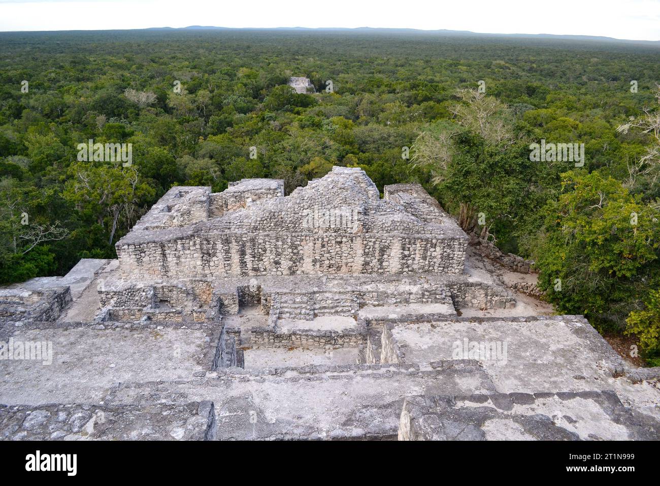 The ruins of the ancient Maya city of Calakmul Stock Photo - Alamy