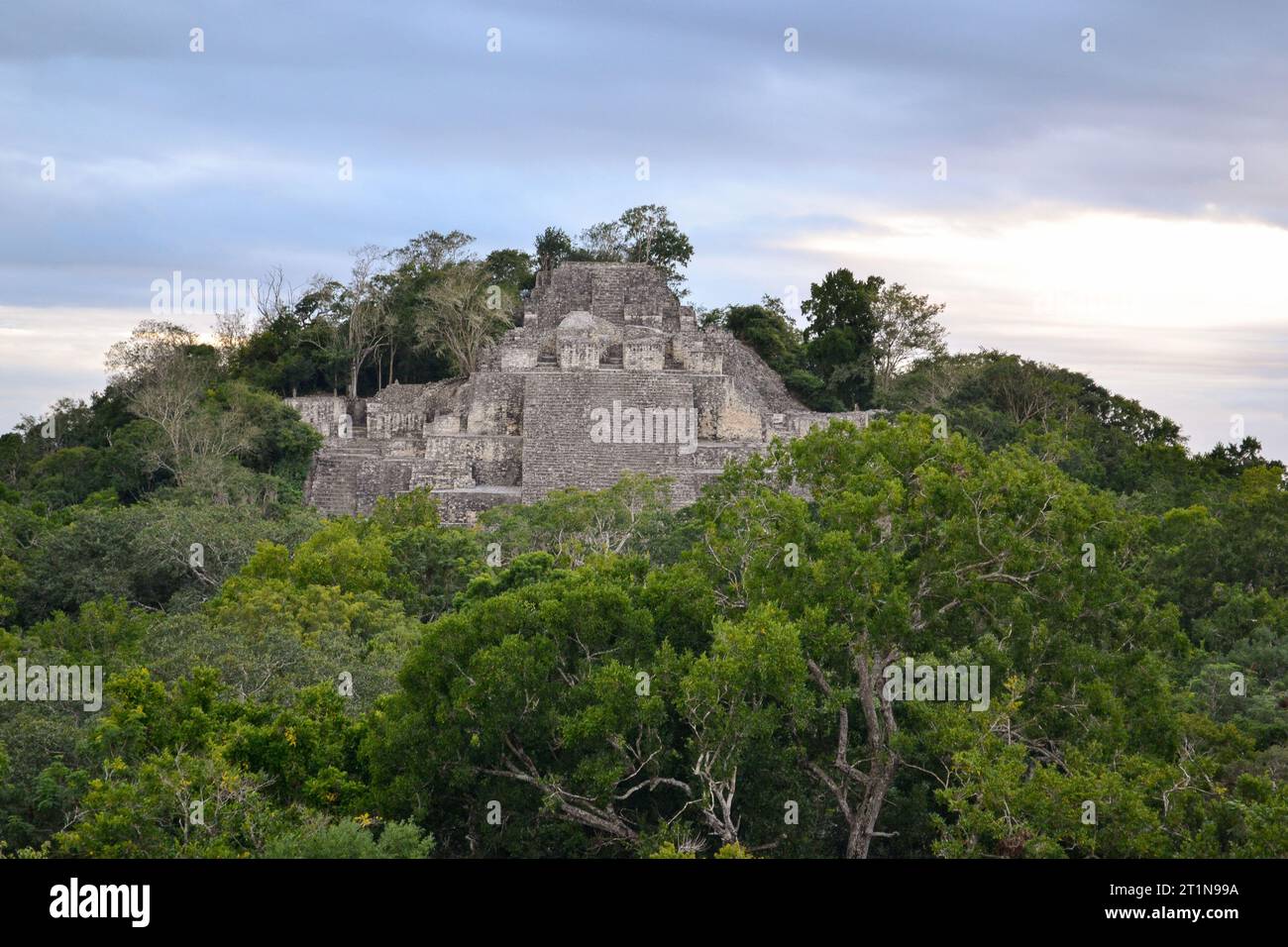 The ruins of the ancient Maya city of Calakmul Stock Photo - Alamy