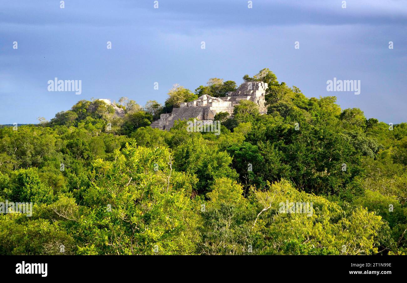 The ruins of the ancient Maya city of Calakmul Stock Photo - Alamy