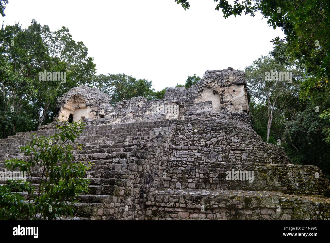 The ruins of the ancient Maya city of Calakmul Stock Photo - Alamy