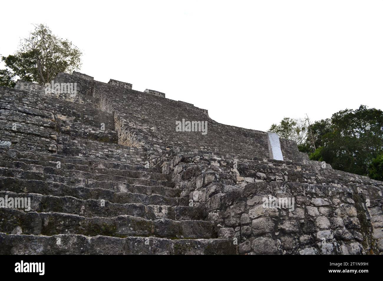 The ruins of the ancient Maya city of Calakmul Stock Photo - Alamy