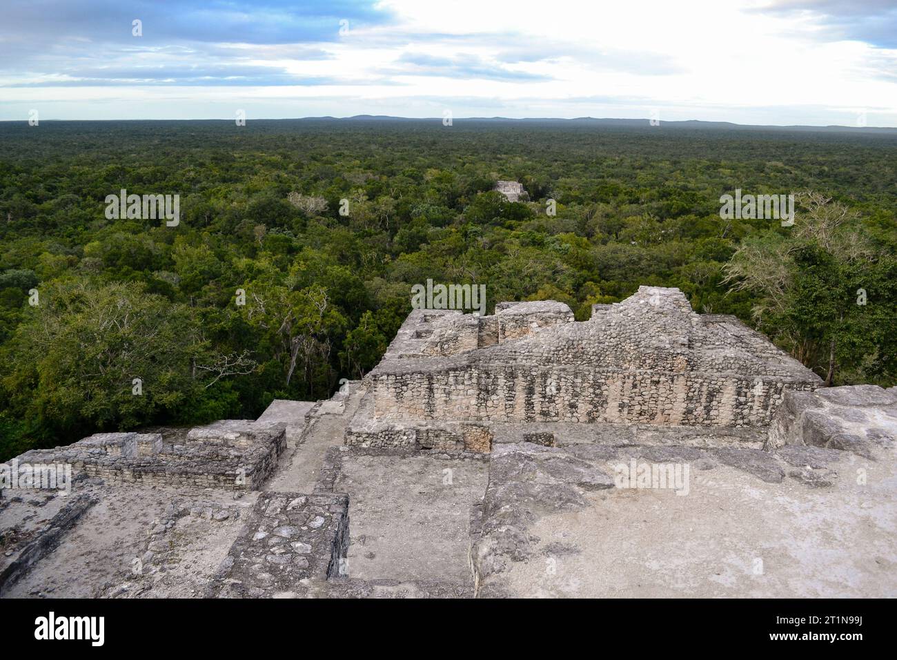 The ruins of the ancient Maya city of Calakmul Stock Photo - Alamy