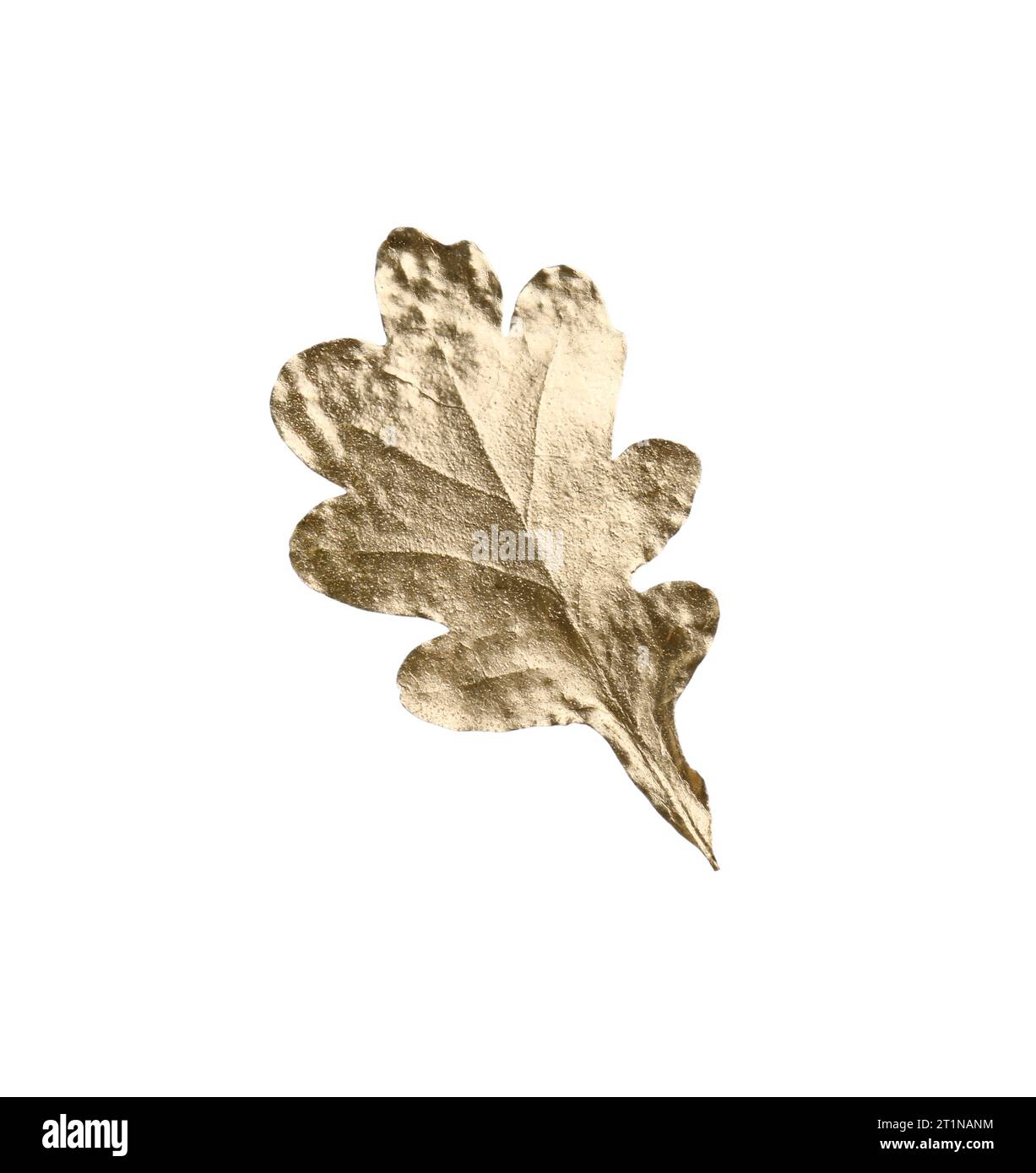 One golden oak leaf isolated on white. Autumn season Stock Photo - Alamy