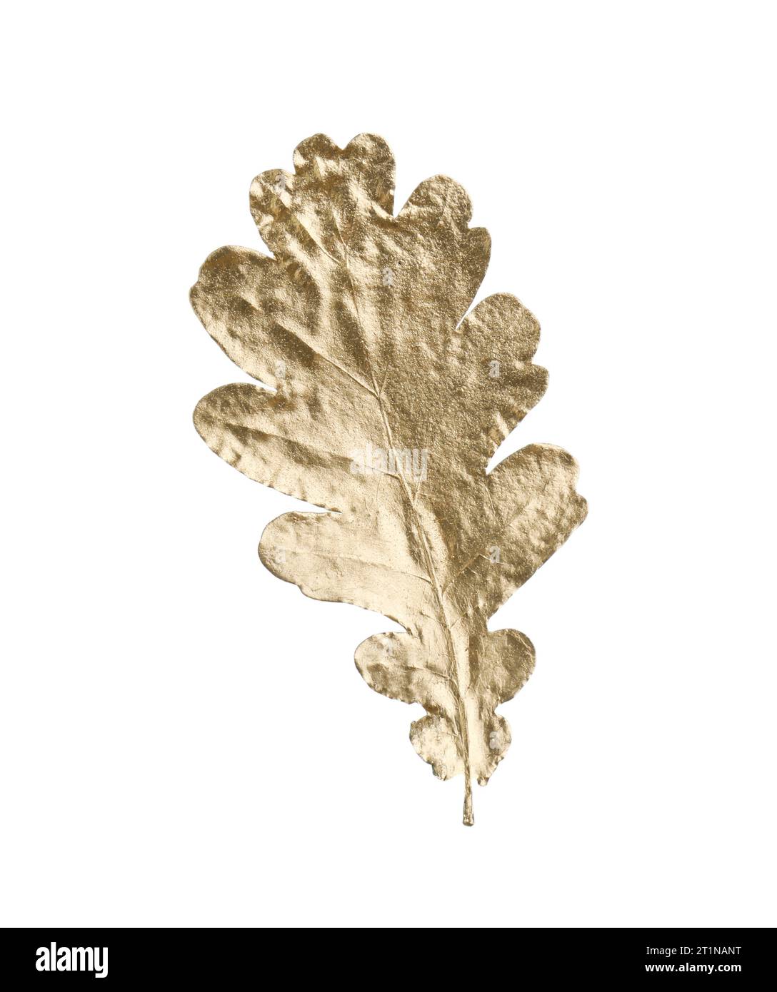 One golden oak leaf isolated on white. Autumn season Stock Photo - Alamy