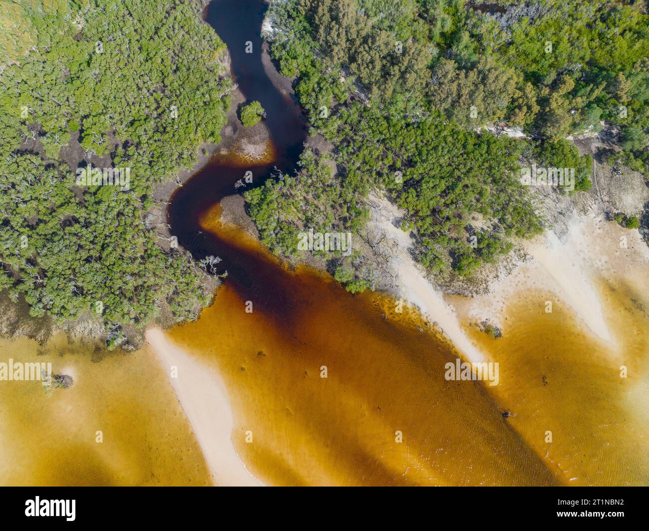 Aerial view of a creek flowing through scrub and over a sandy beach at ...