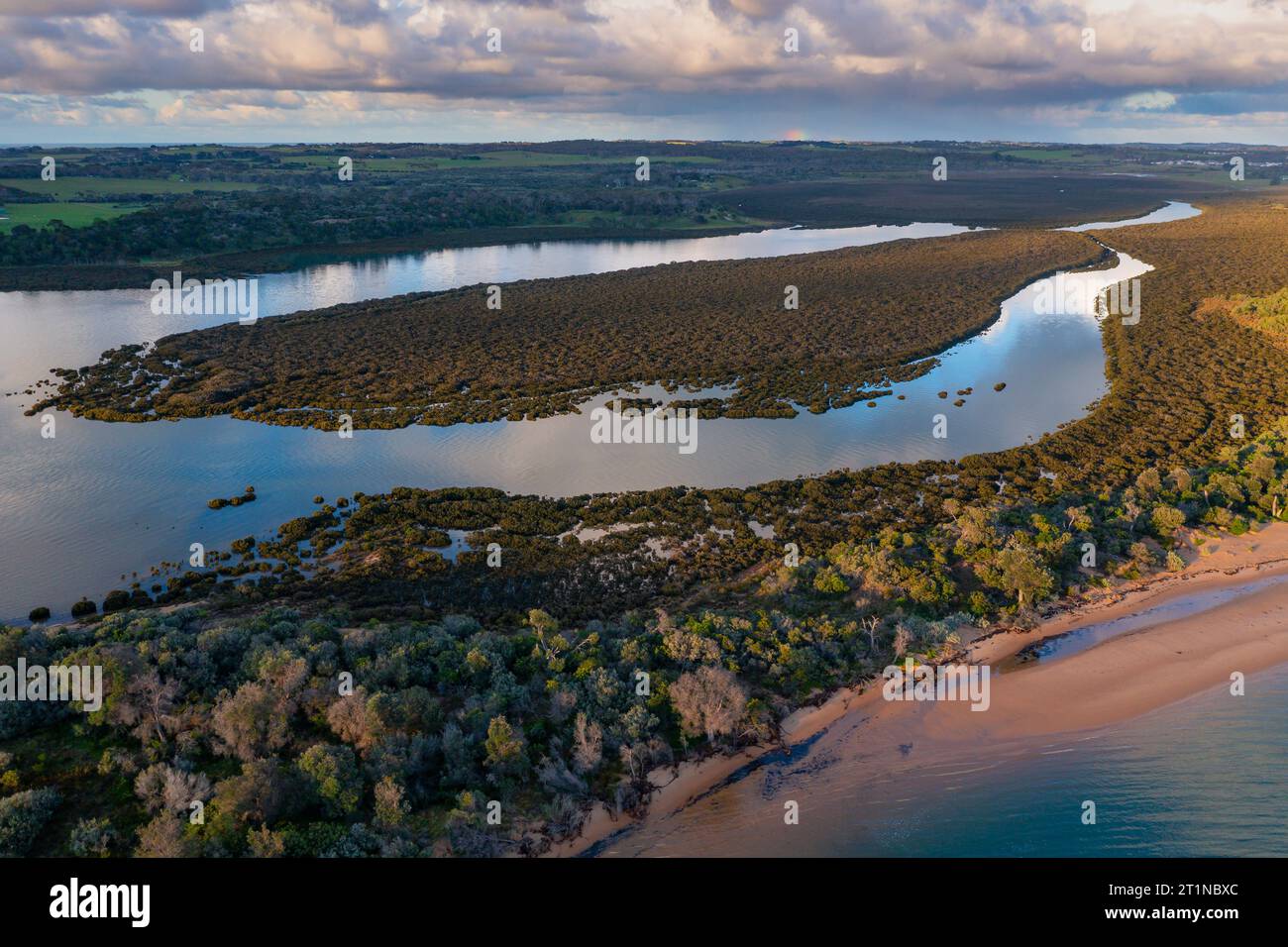 Aerial view of mangroves in a coastal wetland at the Rhyll Inlet on ...