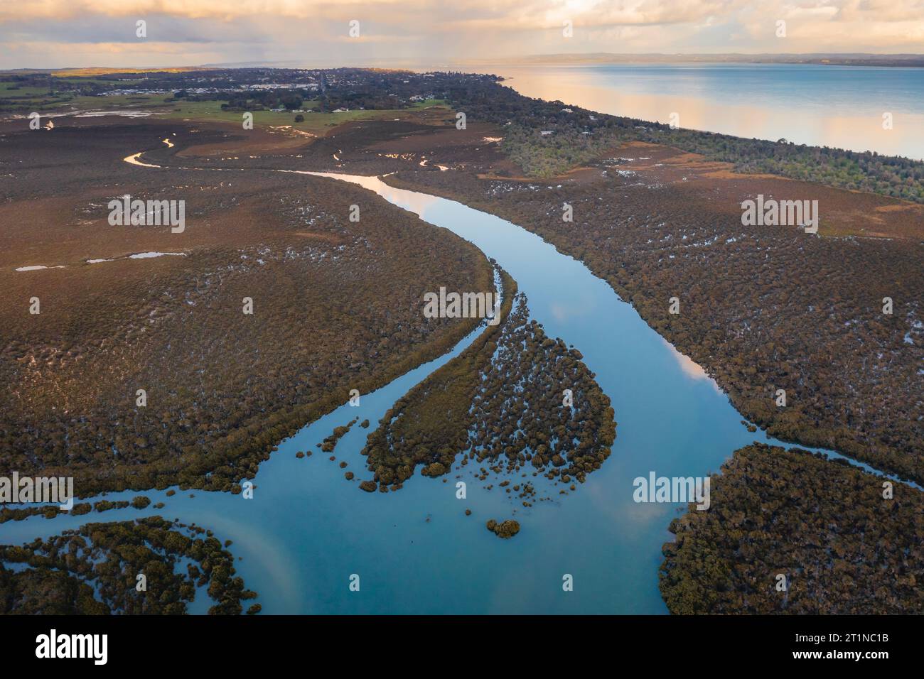 Aerial view of mangroves in a coastal inlet at sunrise at the Rhyll ...