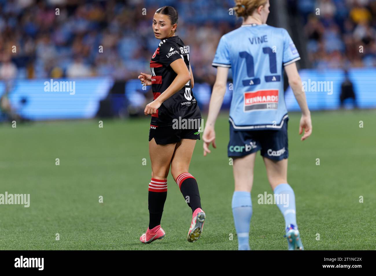 Sydney, Australia. 14th Oct, 2023. India Breier of the Wanderers looks ...