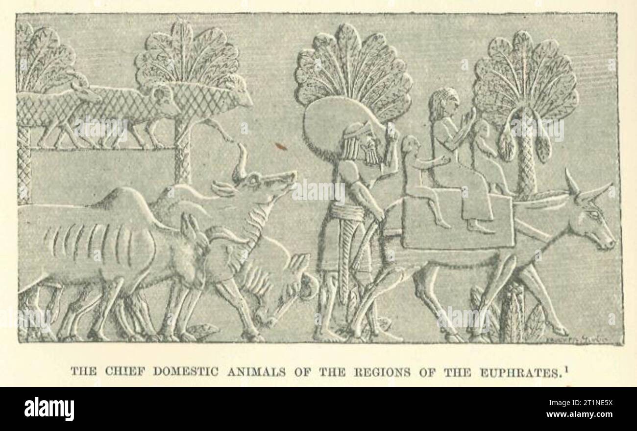 Ancient History Images Stock Photo - Alamy