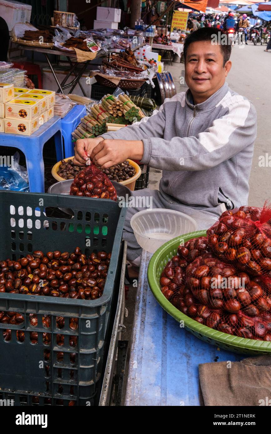 Chestnut ha hi-res stock photography and images - Alamy