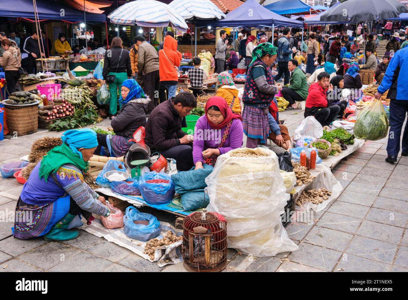 Vietnam bac ha flower hi-res stock photography and images - Alamy