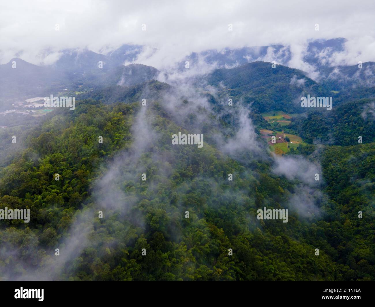 Samoeng Forest Park, a spectacular views of the forest and mountains ...