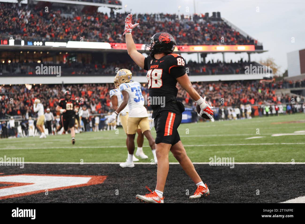 Oregon State tight end Jack Velling (88) celebrates his touchdown ...