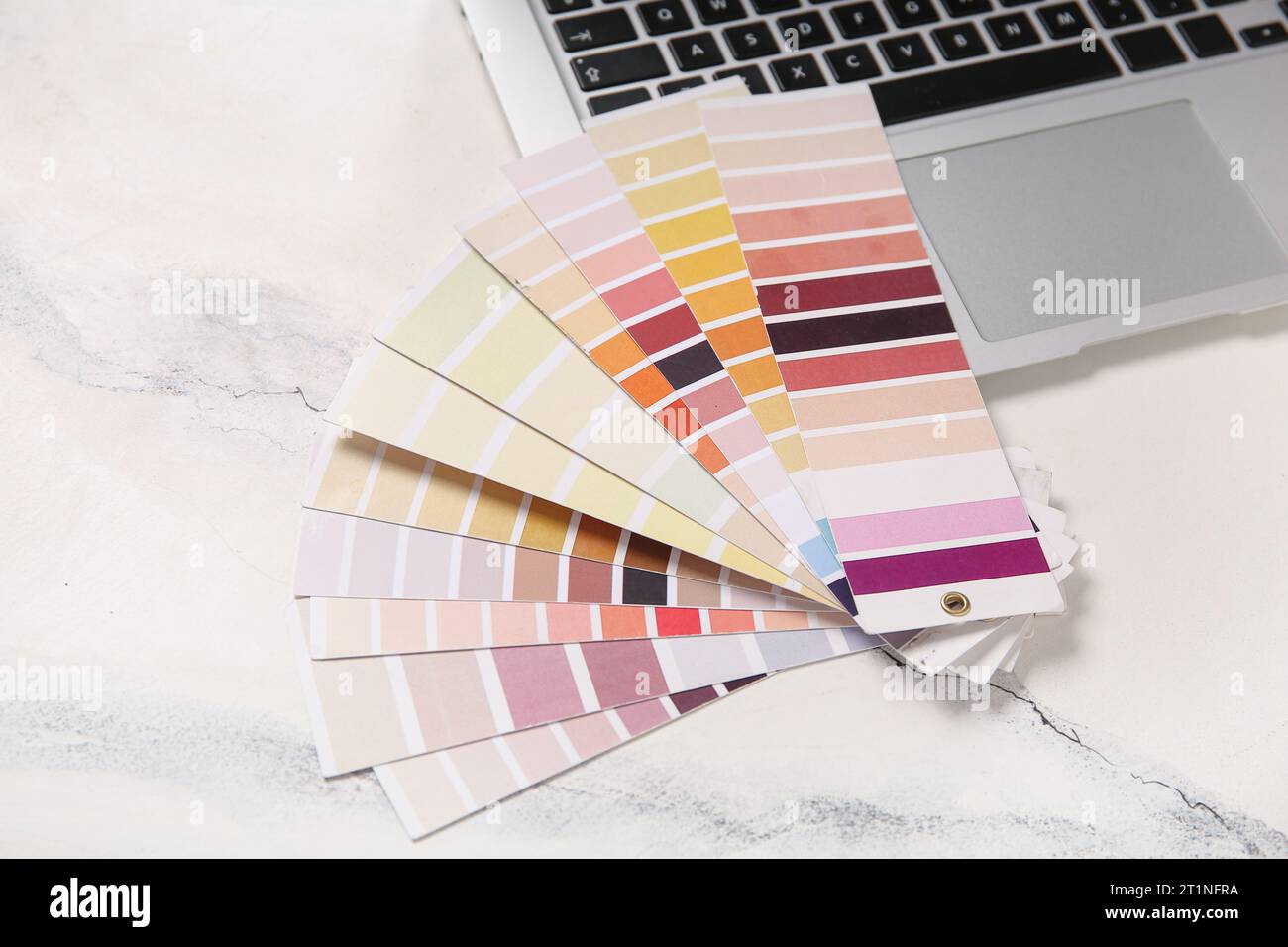 Many color palettes and laptop on light background Stock Photo - Alamy