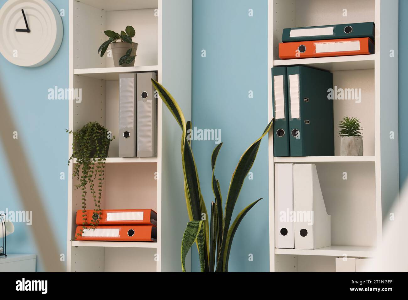 Shelf units with document folders and plants in office Stock Photo - Alamy