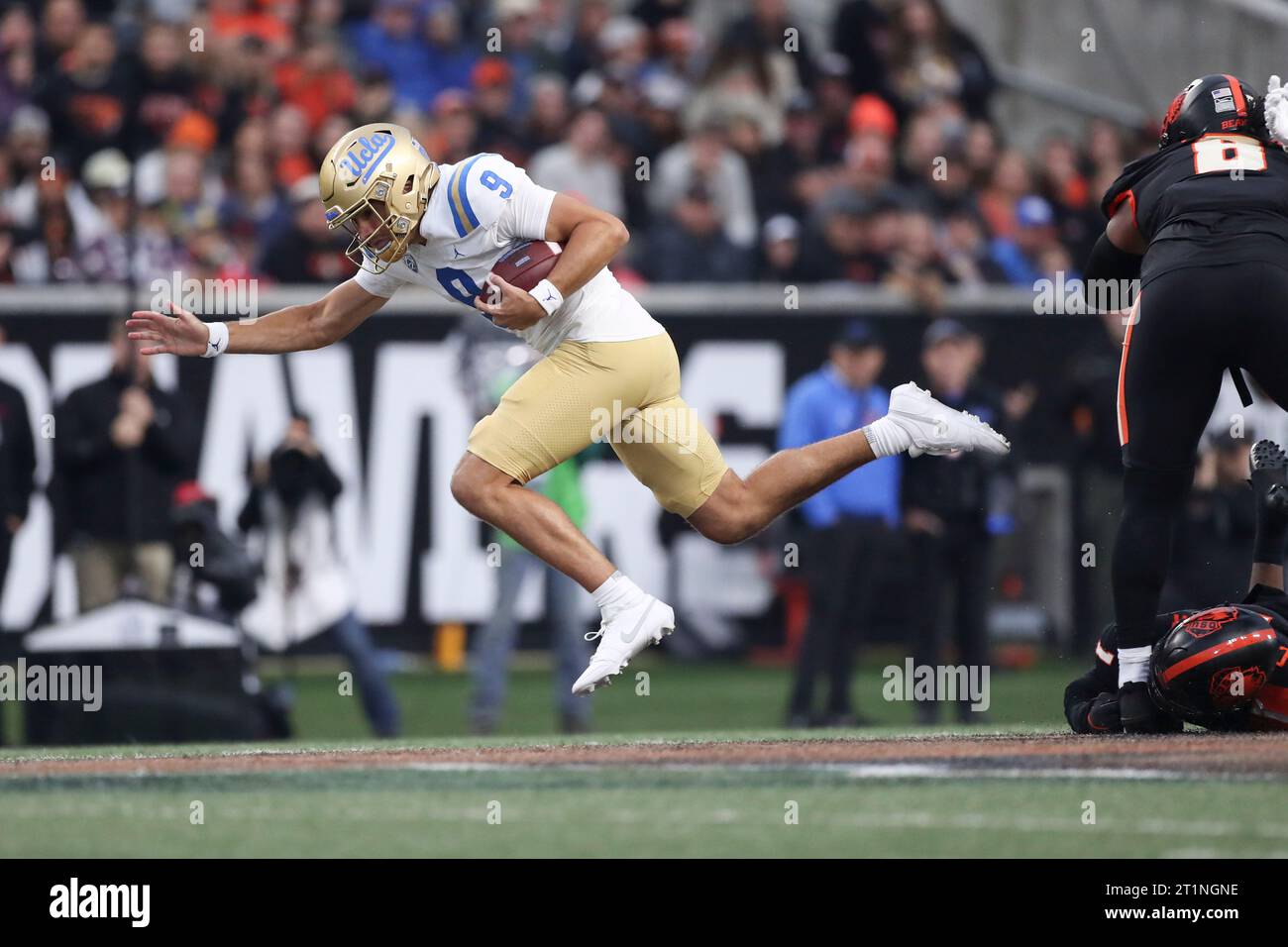 UCLA quarterback Collin Schlee (9) slips a tackle by Oregon State ...