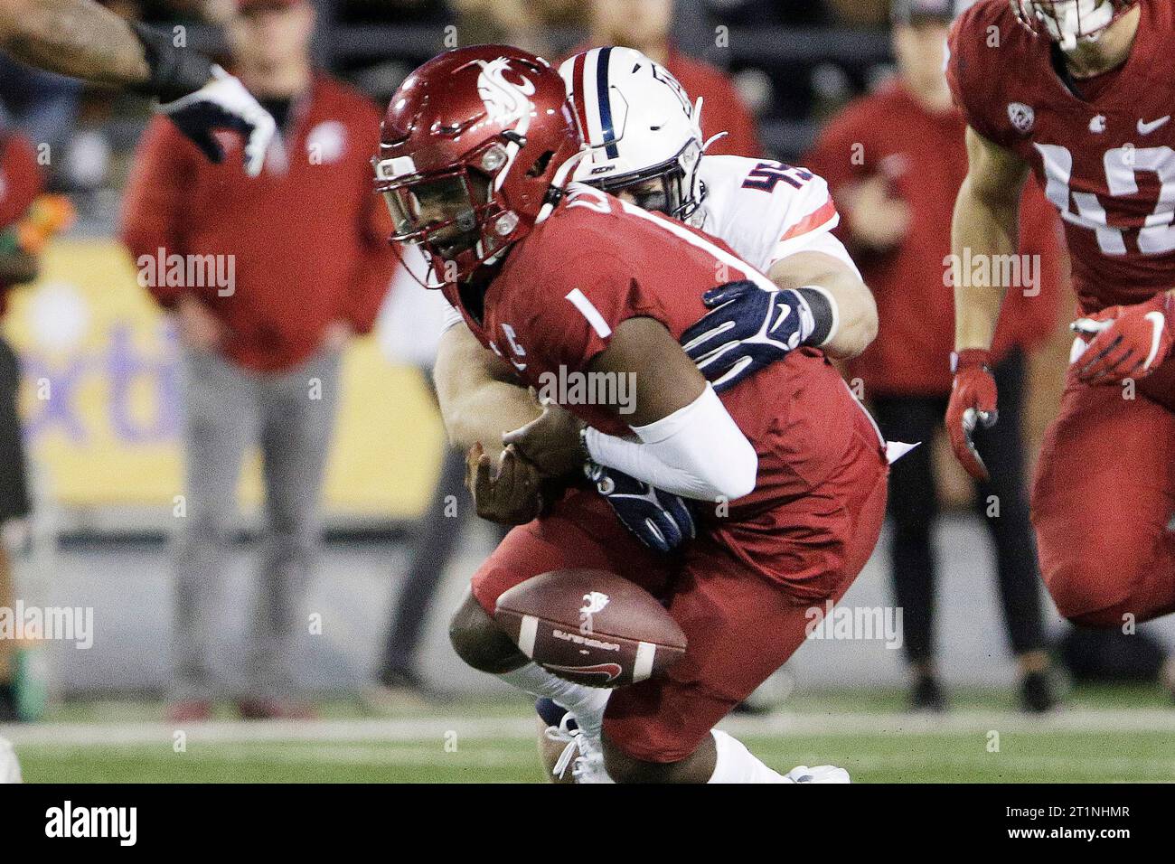 Washington State quarterback Cameron Ward (1) fumbles the ball as he is ...