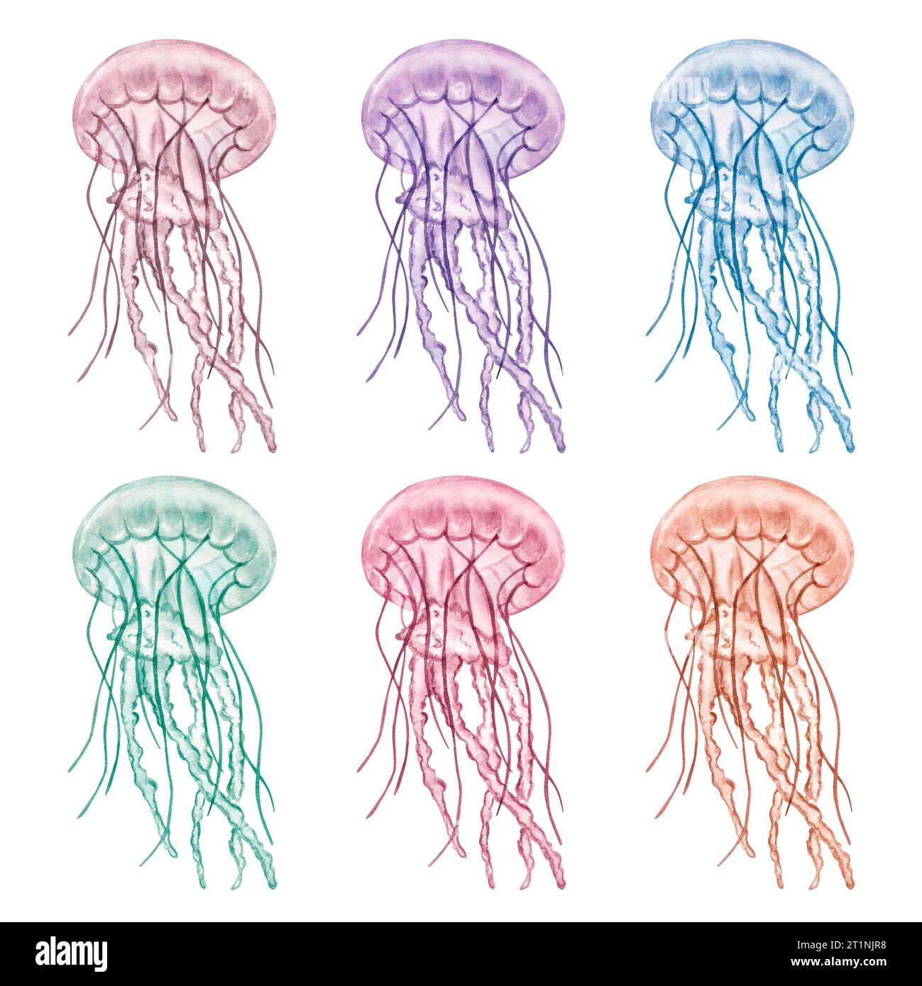 Set jellyfish, purple, blue, green, pink medusa. Deep sea toxic animal ...