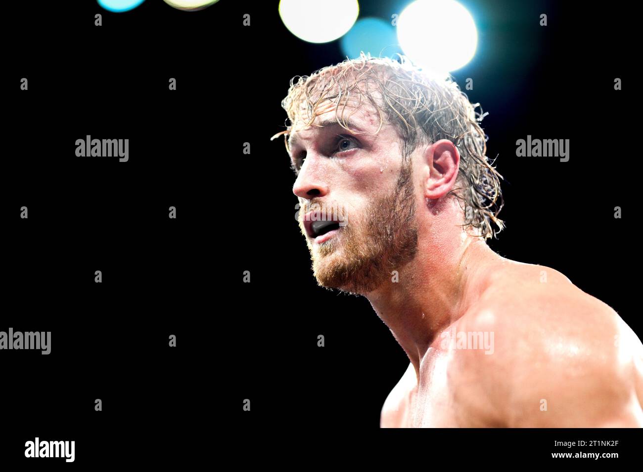 Logan vs dillon hi-res stock photography and images - Alamy