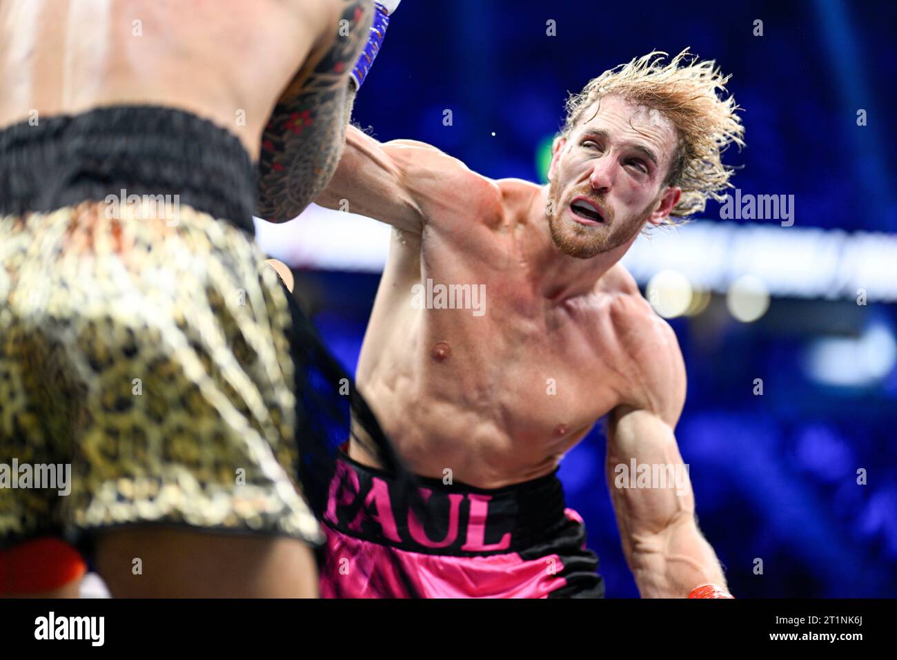 Prime card logan paul dillon danis hi-res stock photography and images ...