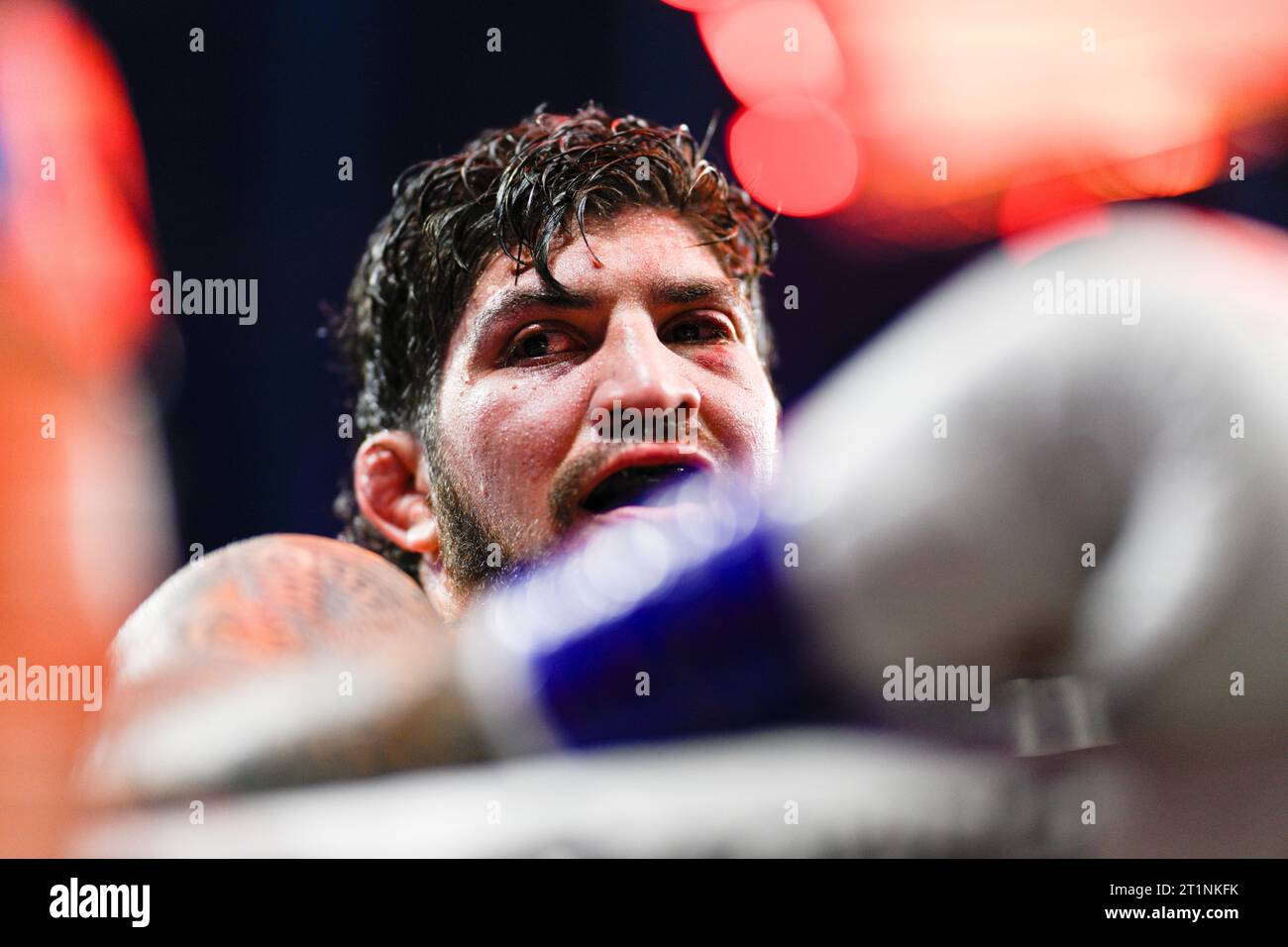 Logan vs dillon hi-res stock photography and images - Alamy