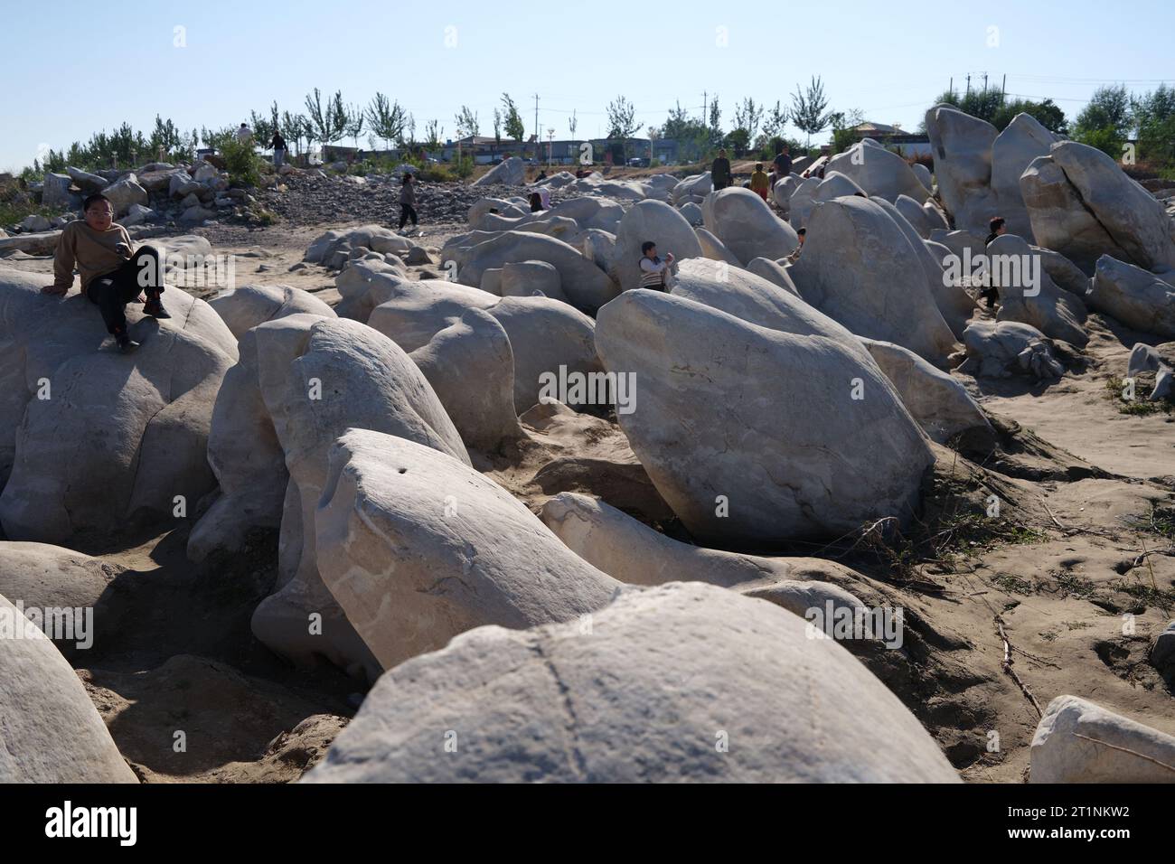 Beijing, China. 15th Oct, 2023. BEIJING, CHINA - OCTOBER 14, 2023 ...